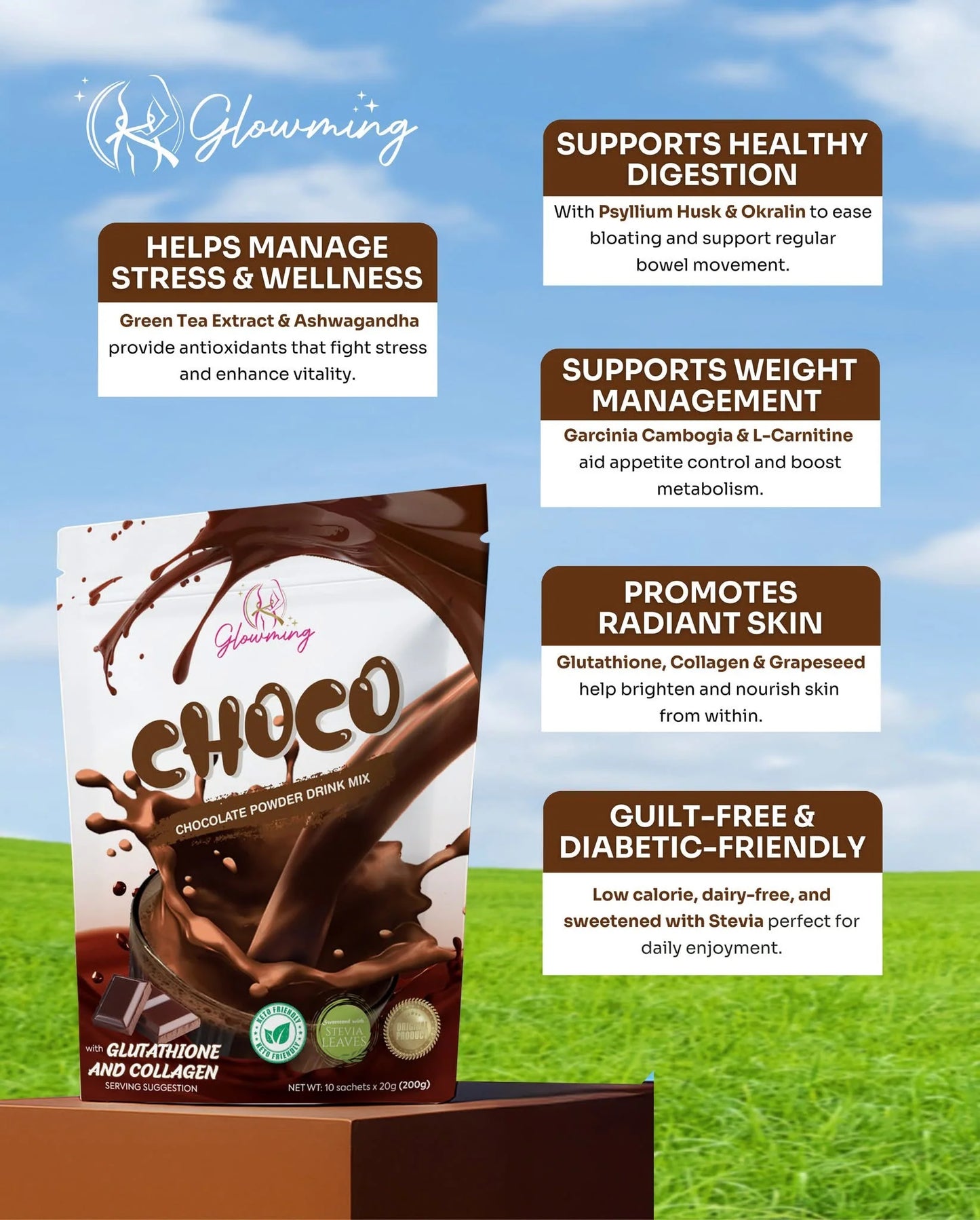 GLOWMING -CHOCO /CHOCOLATE POWDER DRINK MIX -10 sachets X 20g – ROSYSKIN ESSENTIALS LLC